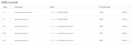 Networking Errconnectionrefused When Enter Domain Name But Ok When