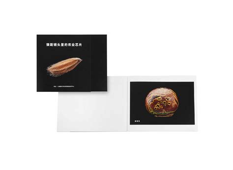 數碼印刷 碳墨打印 Digital Printing Toner Base And Inkjet 書刊 畫冊