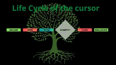 Cursors Sql Server Youtube