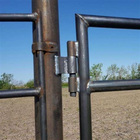 Locks For Cattle Gates At Megan Cisneros Blog
