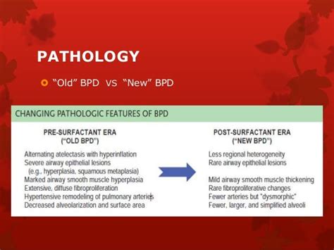 A Glance At Bpd
