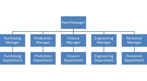 6 Examples Of Effective Design For Your Organizational Structure Wardell International