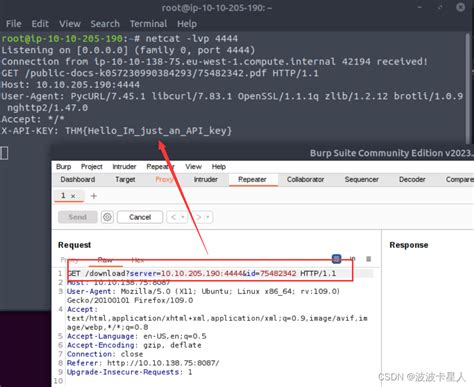 【土木人自学网安day2】owasp Top10简单介绍及应用 Csdn博客