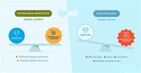 What Is Cellular Redox And Why It Needs To Be YOUR Long Term Health Goal Redox Medical Group