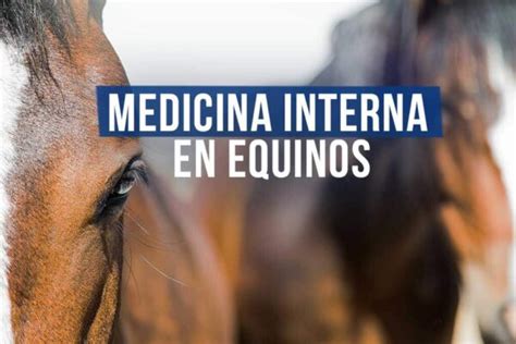 Curso Principios Básicos En Medicina Interna