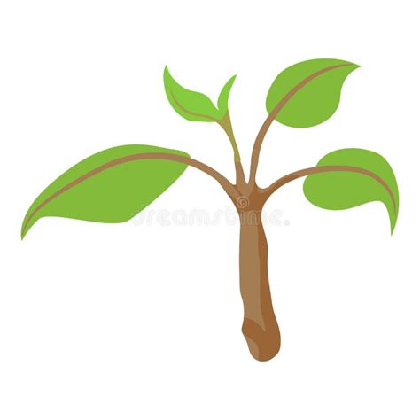 Tree Branch Icon Isometric Vector Small Tree Branch With Green Leaf
