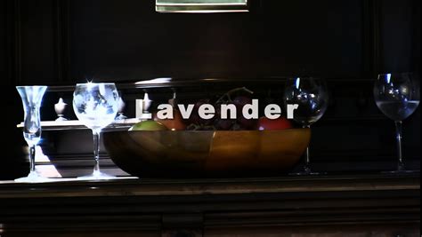 Denise Milani Lavender Eporner