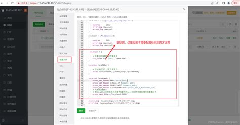 宝塔（四）之前端（ruoyi）部署若依前端部署nginx Csdn博客