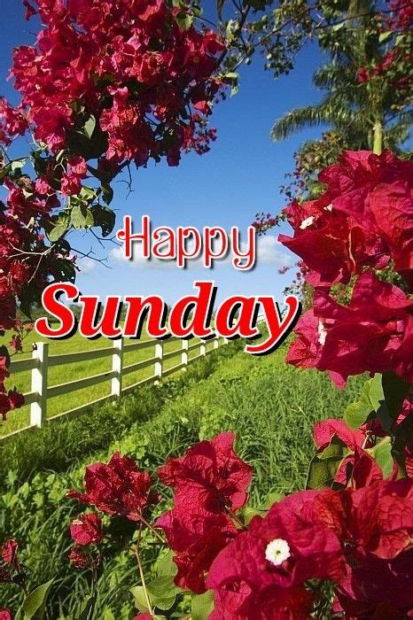 DLA KAŻDEGO SUNDAY