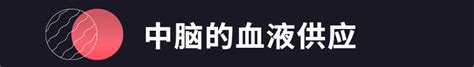 临床＆解剖：中脑的血液供应及病变时的临床表现 知乎