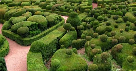 Самые красивые сады мира — сады Маркессак | Topiary garden, Hanging ...