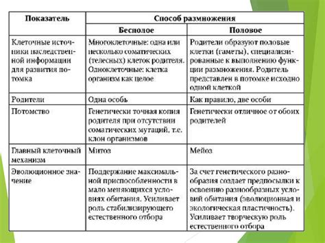 Жизненный цикл мхов и папоротников 8 класс презентация онлайн