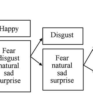 Levels Of Binary Classification Download Scientific Diagram