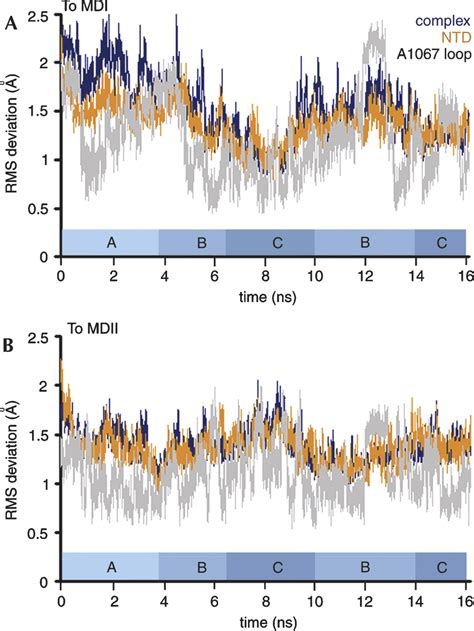 Functional Conformations Of The L11 Ribosomal Rna Complex Revealed By Correlative Analysis Of
