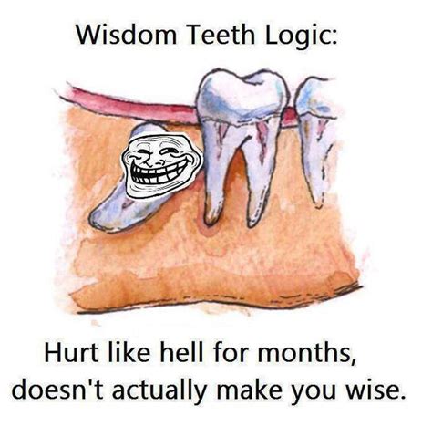 Wisdom Teeth Logic Meme By Bajeewa Memedroid