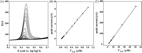 A Lsvs For Various Concentrations Of Ua In The Range Of 001100 M