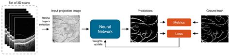 Neural Networks Application For Accurate Retina Vessel Segmentation