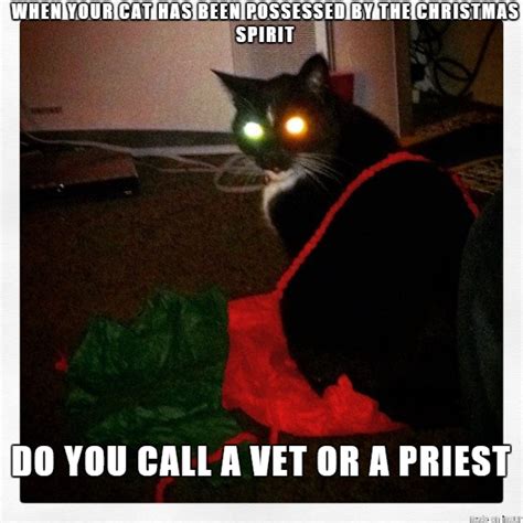 Kitty Krampus Meme On Imgur