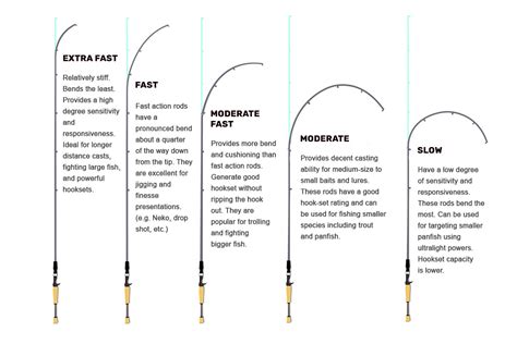 Fishing Rod Action Power And Length Charts