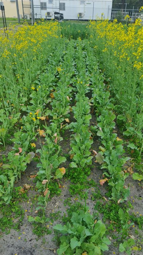 Bec Swift On Linkedin Clearly A Big Difference In Development In Wahoo Compared With The Other…