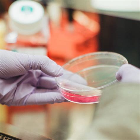 Fertin Pharma Kreativ Ideas