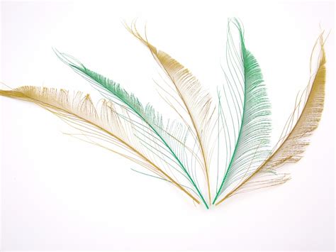 Peacock Sword Feather Dyed Colours Swopcd Jaffe