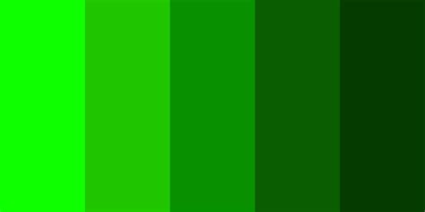 El verde es un color lleno de vida y simboliza renovación y crecimiento