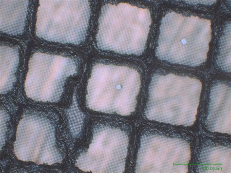 From Your Point Of View Which Is Better Putting More Than One Tem