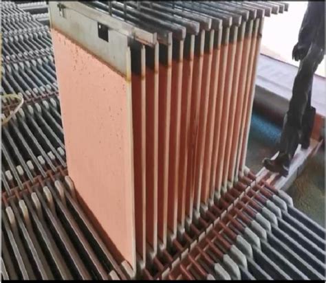 Product Cathode Stainless Steel Copper Cathode Prs Copper Epc Supplier