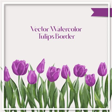Premium Vector Vector Watercolor Tulips Border Collection
