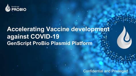 Plasmid Manufacturing Service From Genscript Probio Pptx