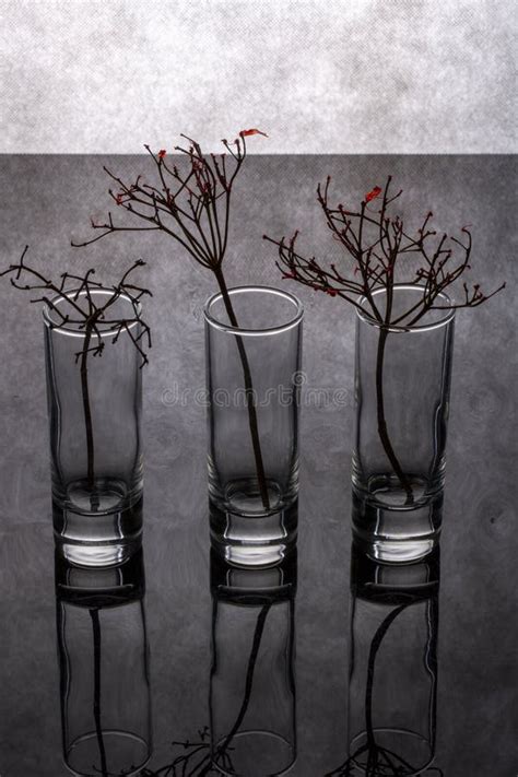 Three Glasses With Twigs Of The Plant Stock Image Image Of