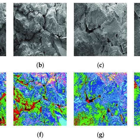 Scanning Electron Microscopy Results And Colorization Processing Of Download Scientific Diagram
