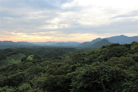 Bosque Tropical Caducifolio Bosque Tropical Caducifolio Flickr