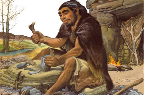 Homo sapiens Características generales habitat herramientas