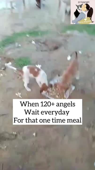 Elisa Warriner On Linkedin Every Bit Helps