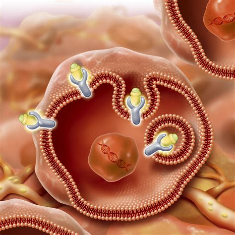 Could This Advance In Radionuclide Therapy Help Late Stage Cancer