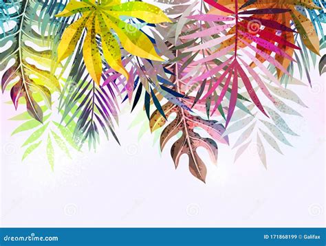 热带背景，丛林植物 向量例证 插画 包括有 投反对票 图画 玻色子 叶子 火箭筒 艺术 花卉 171868199