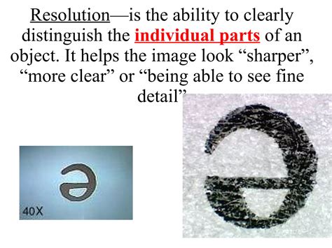 2 Structure Function Living Systems Ppt