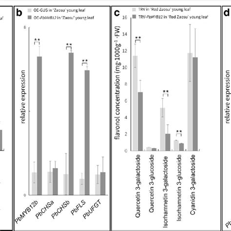 Flavonol Glycoside Biosynthetic Pathway In Pear Fruit Download