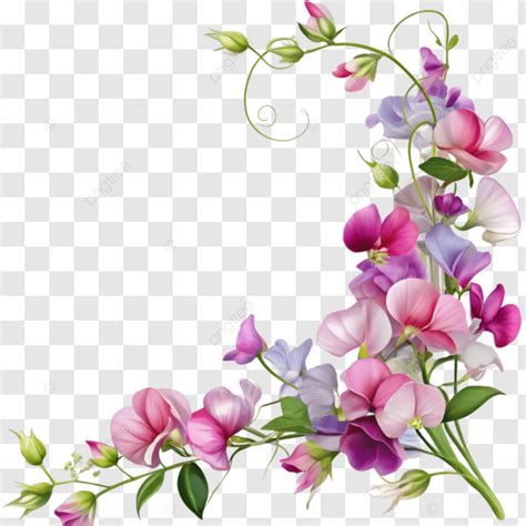 완두콩 코너 테두리 스위트 피 모서리 테두리 꽃무늬 Png 일러스트 및 이미지 에 대한 무료 다운로드 Pngtree