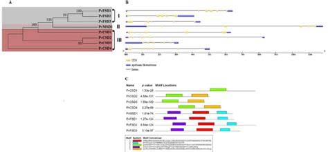 A A Phylogeneitc Tree Grouped The Sod Members According To Their Metal Download Scientific