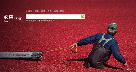 Microsoft Promises To Fix Red Bing Results To Chinese Searches Softpedia
