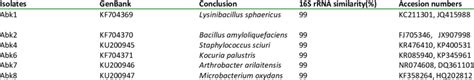 conclusion identification and genbank accession numbers of bacterial