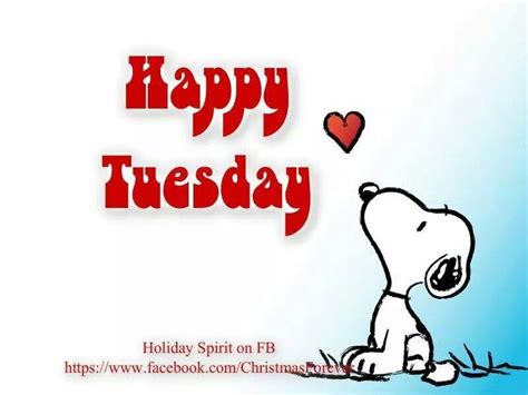 Happy Tuesday