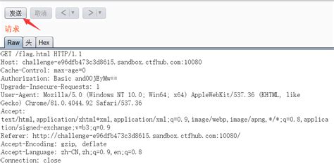Ctfhub Web
