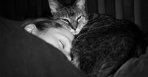Snuggle Time Imgur