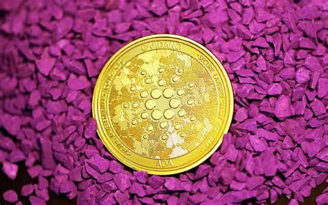 Cardano Of Stake Pools Ready For Smart Contracts
