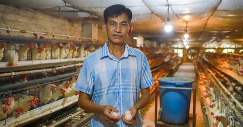 Tỷ phú nuôi gà ở Hải Dương từng lao đao thua lỗ hàng chục tỷ đồng Dân