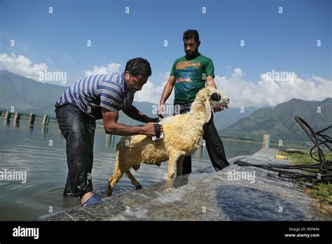 Srinagar Indian Controlled Kashmir 16th Aug 2018 Kashmiri Men Clean